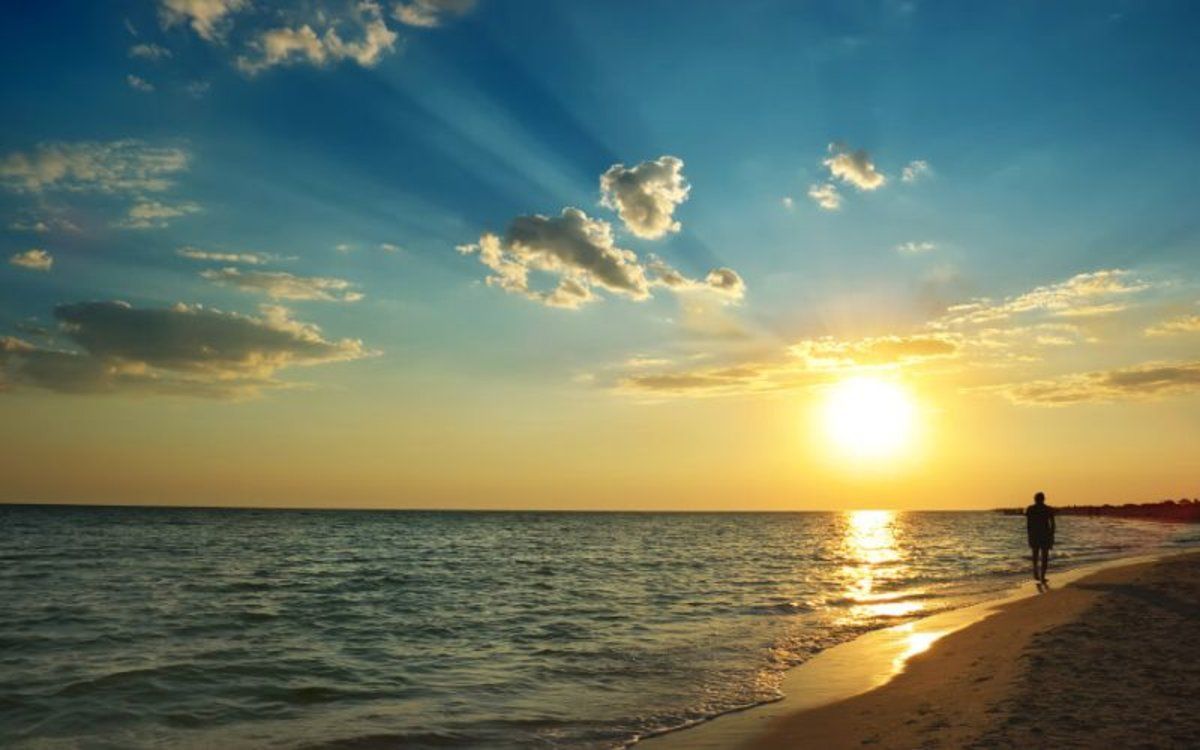 Menú Diario de Taberna Viavélez